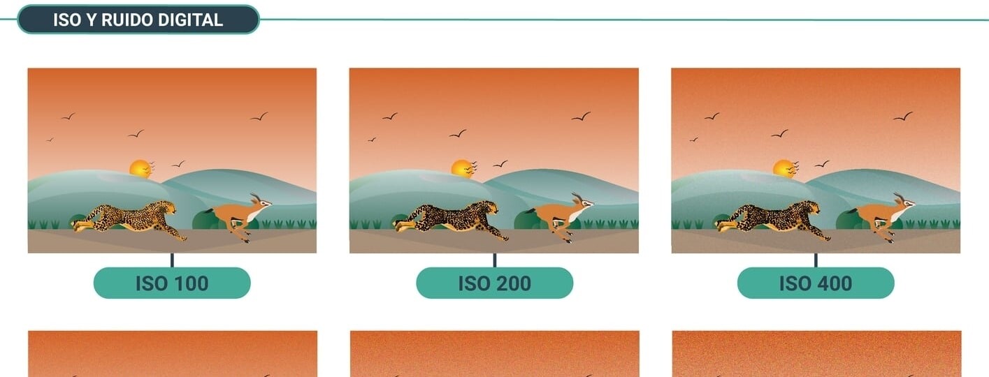 Aprende a usar el ISO en fotografía para imágenes de calidad